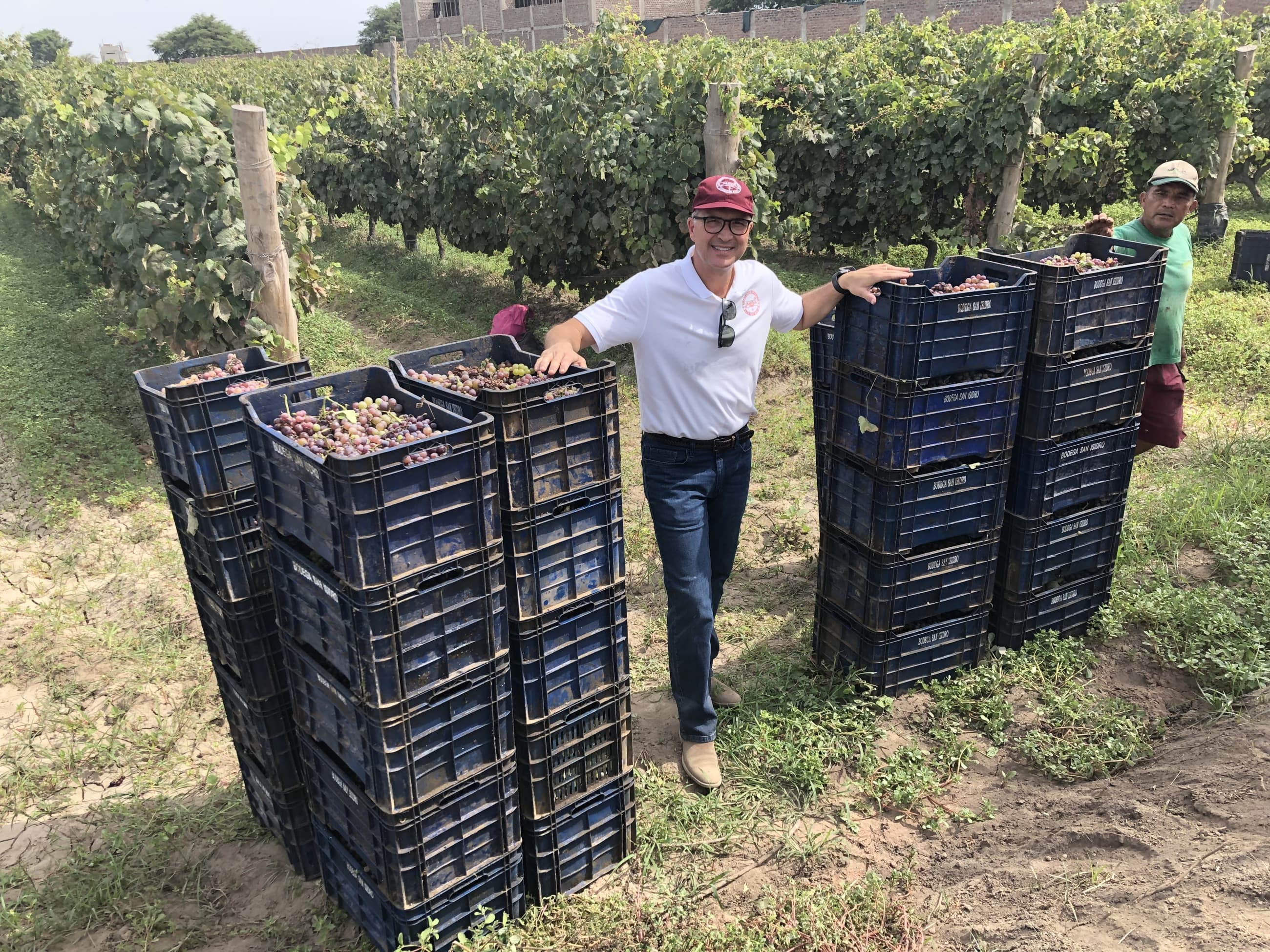 Diego Loret de Mola: Pisco je nejautentičtější destilát na světě | BARLIFE